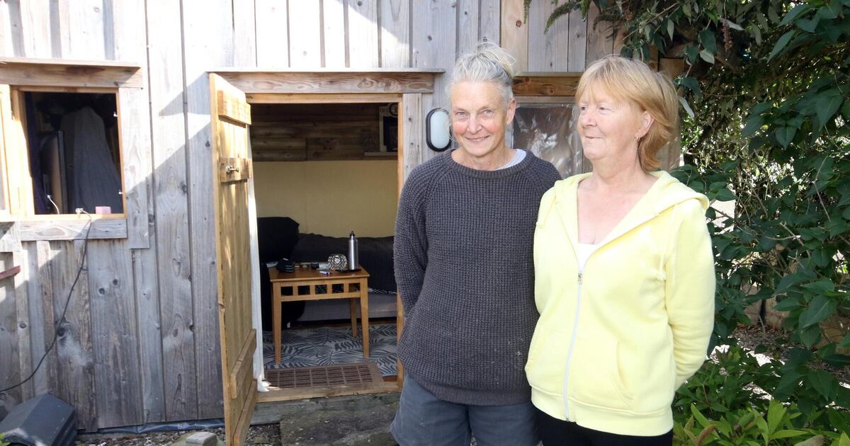 Kind-hearted Swedish vet steps in to help Irish families facing ...