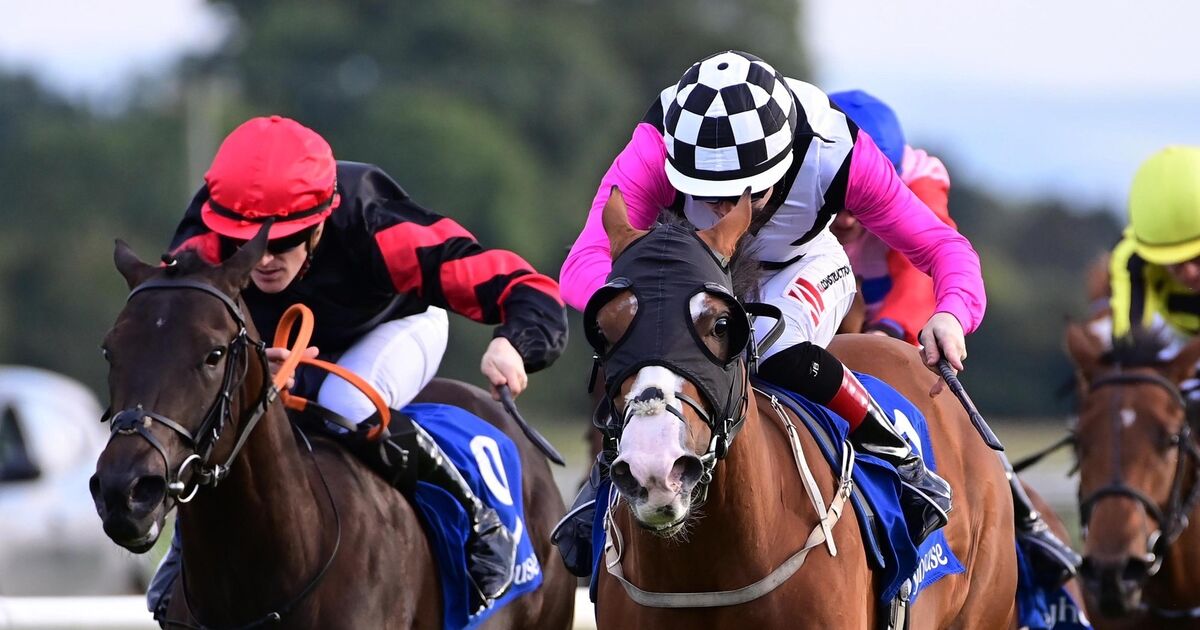 Beauty Crescent delivers for Ger Lyons at Fairyhouse