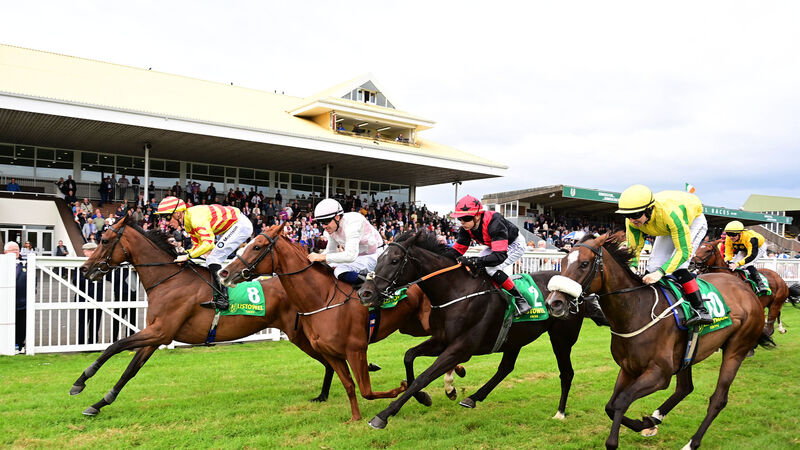 Neptune Rock lands Listowel feature for Joseph O'Brien