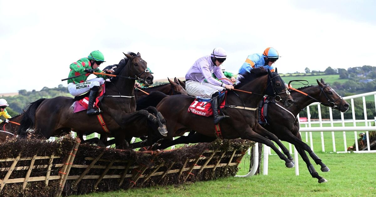 Magnor Glory delivers for Terence O’Brien at Listowel
