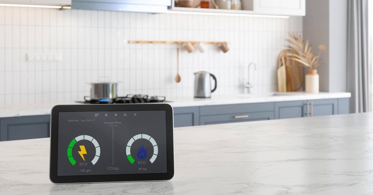 How can I make the most of my smart meter and can it save me money on ...