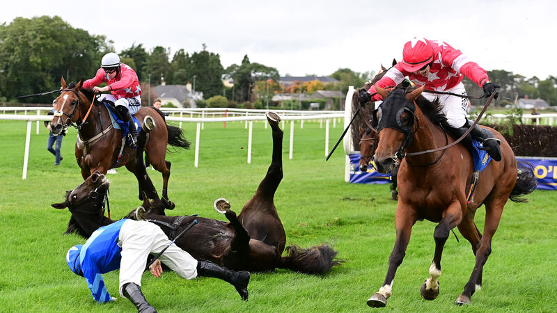 Tipperary report: The Model Kingdom makes perfect start to life over ...