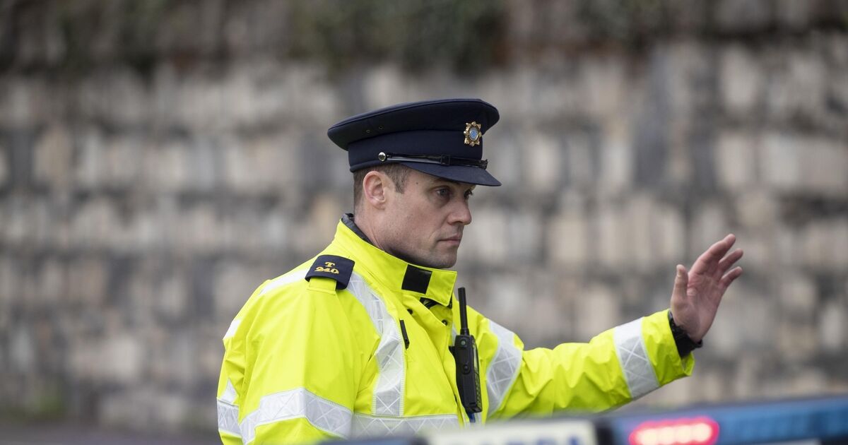 Gardaí arrest 14 people in Offaly in crackdown on criminal activity
