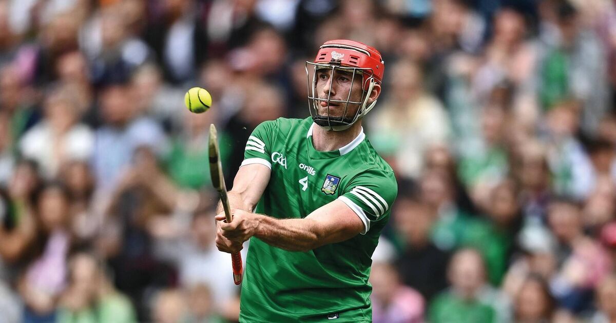 South Liberties shock Patrickswell to reach Limerick semis