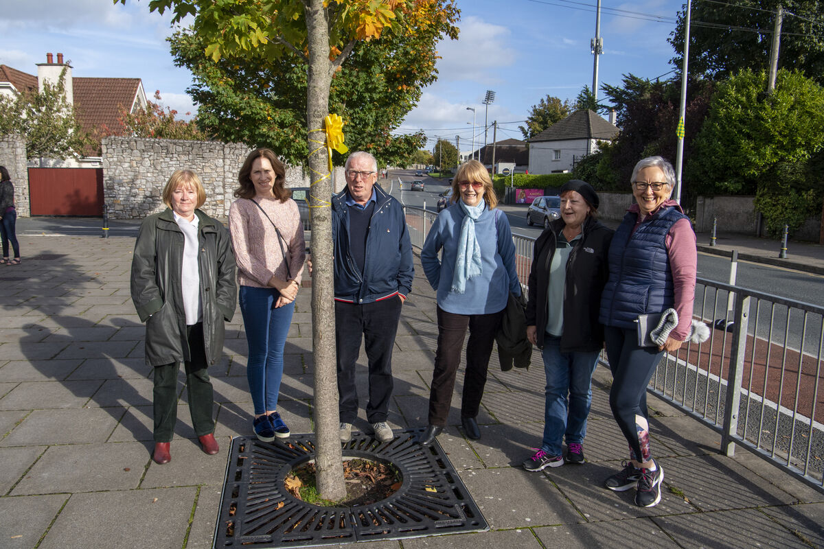 Fractious debate at Cork City Council over BusConnects plan