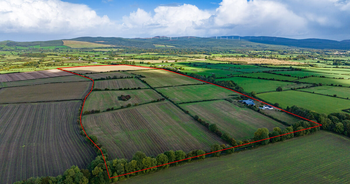121-acre farm expected to surpass €12k/acre guide at auction