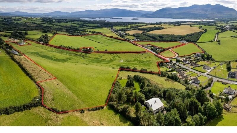 70-acre farm outside Killarney expecting €10k+ an acre at auction