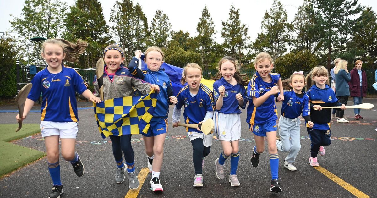 Largest crowd in a decade expected for Cork hurling final