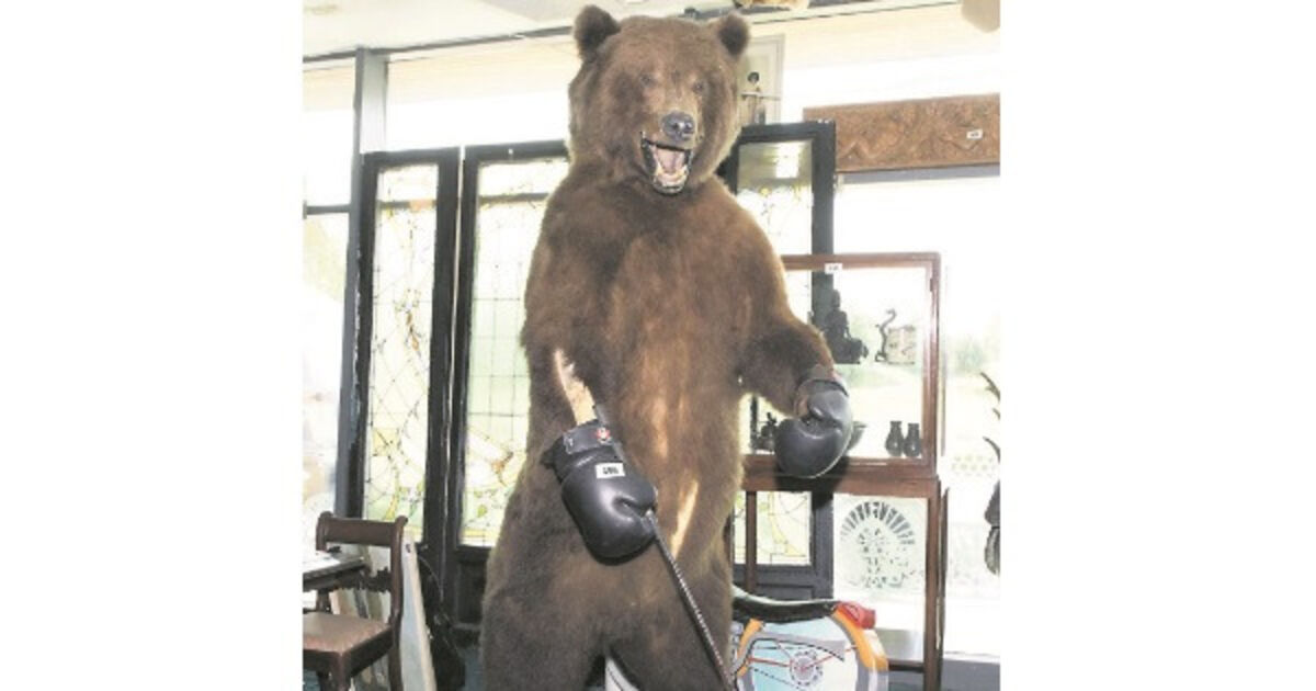 No knockout as bear makes just €2k at eclectic auction