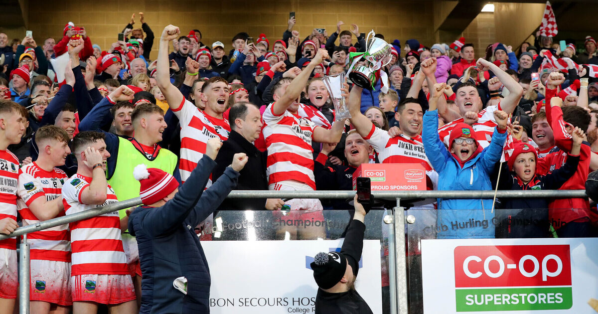 Ballygiblin on a roll and looking to continue