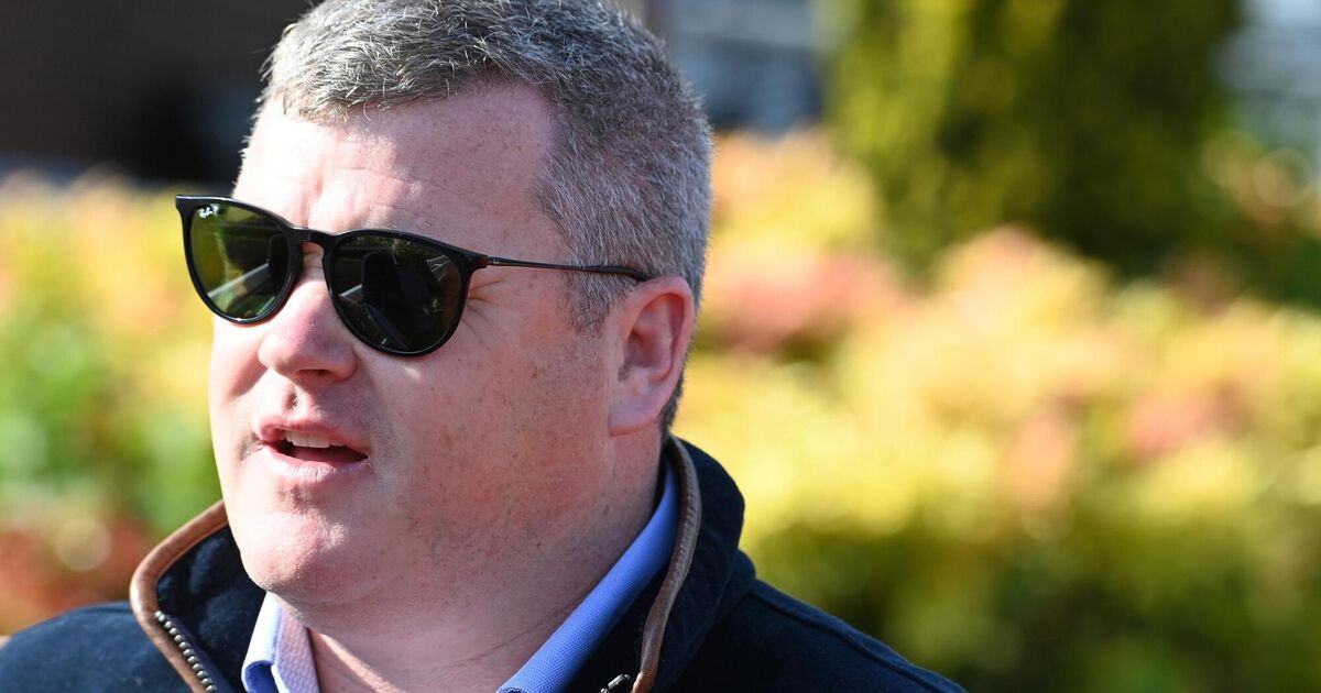 Elliott's Pied Piper on song to see off Knight Salute at Cheltenham ...