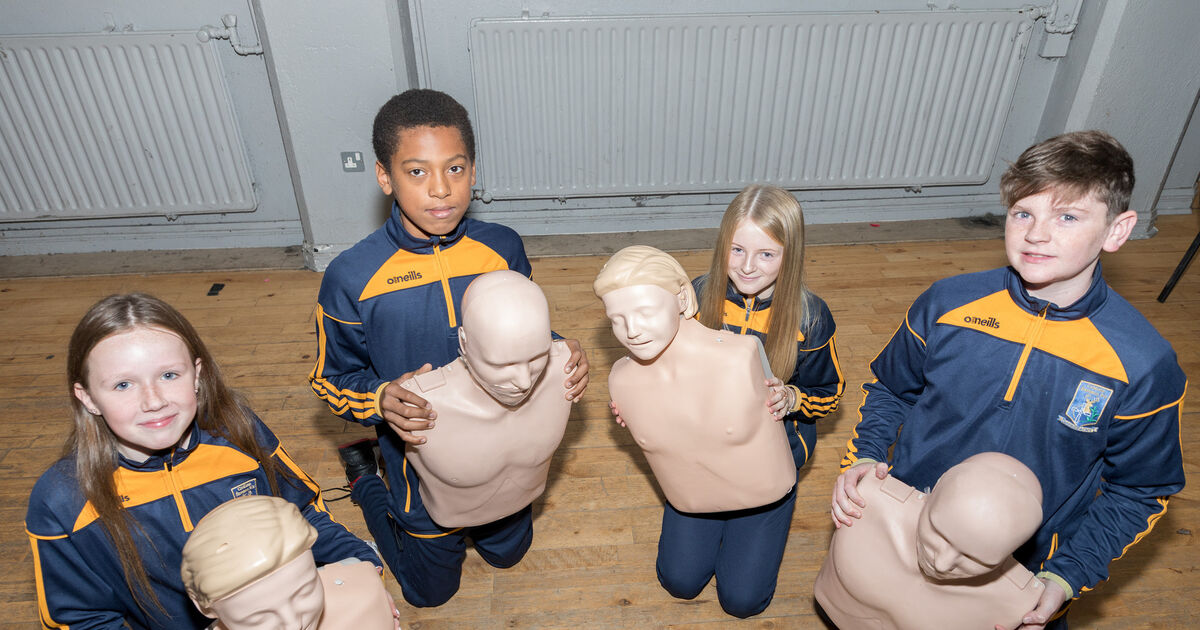 'It could happen to anyone': 700 Cork students and teachers learn life ...