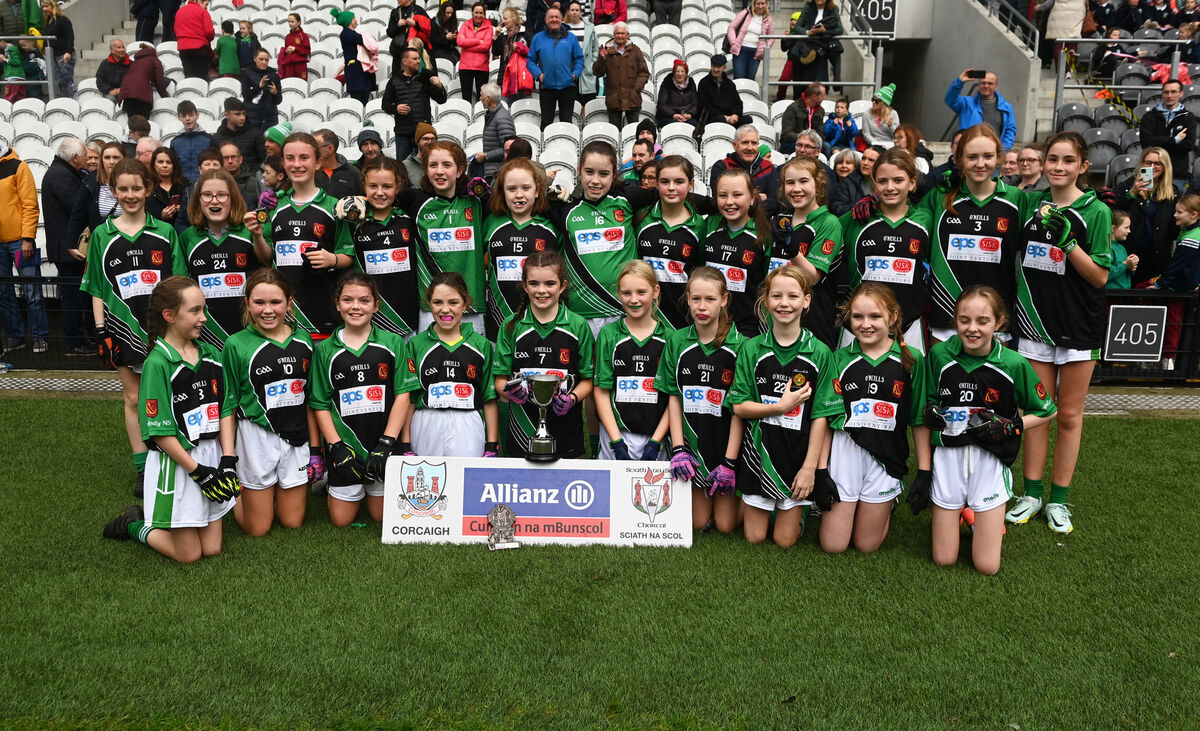 Sciath na Scol glory for Bartlemy and Curraglass