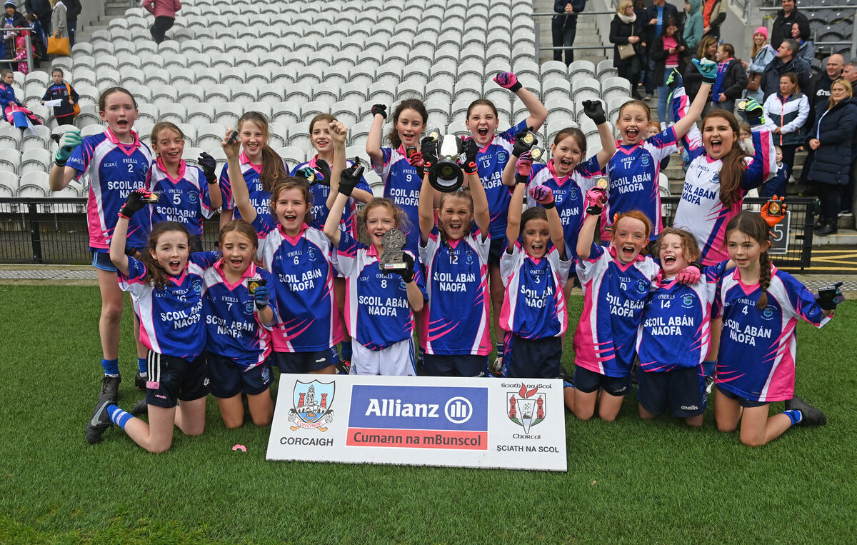 Sciath na Scol glory for Bartlemy and Curraglass