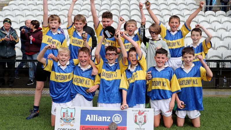 Sciath na Scol glory for Bartlemy and Curraglass