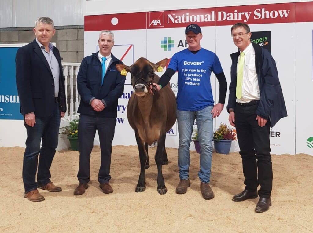 Cork-based farm becomes first in Ireland to feed methane-reducing ...