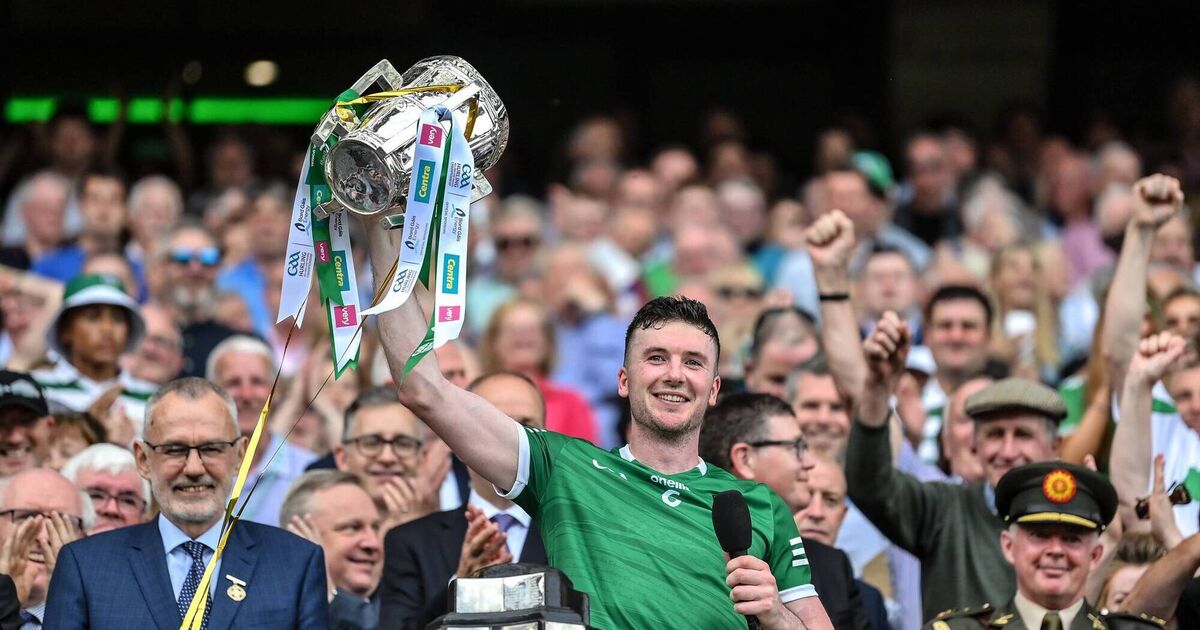 Seven All-Stars for All-Ireland champions Limerick