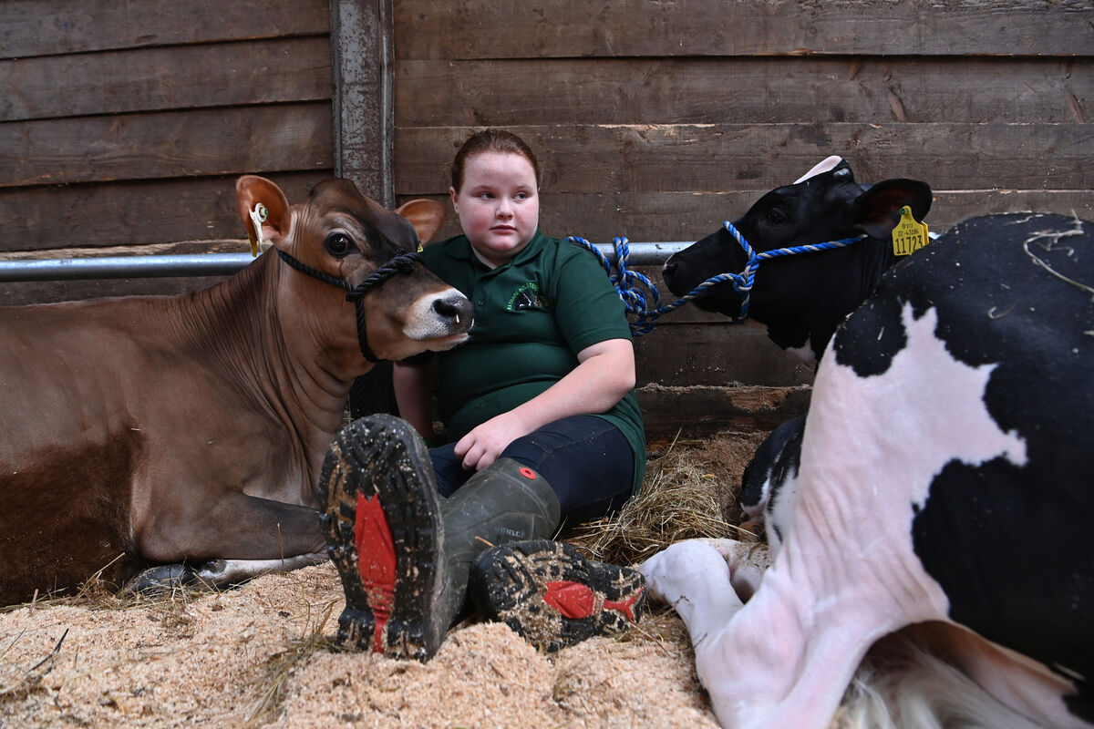Paula Hynes: Our first time showing at the National Dairy Show