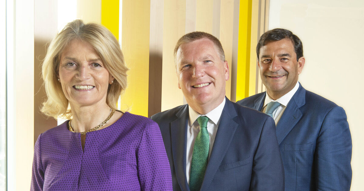 Twitter firings don't mark end of Irish tech boom, says IDA boss ...