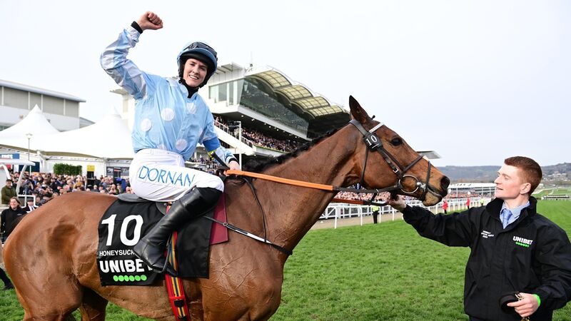 Honeysuckle and A Plus Tard in the mix for Horse of the Year Award