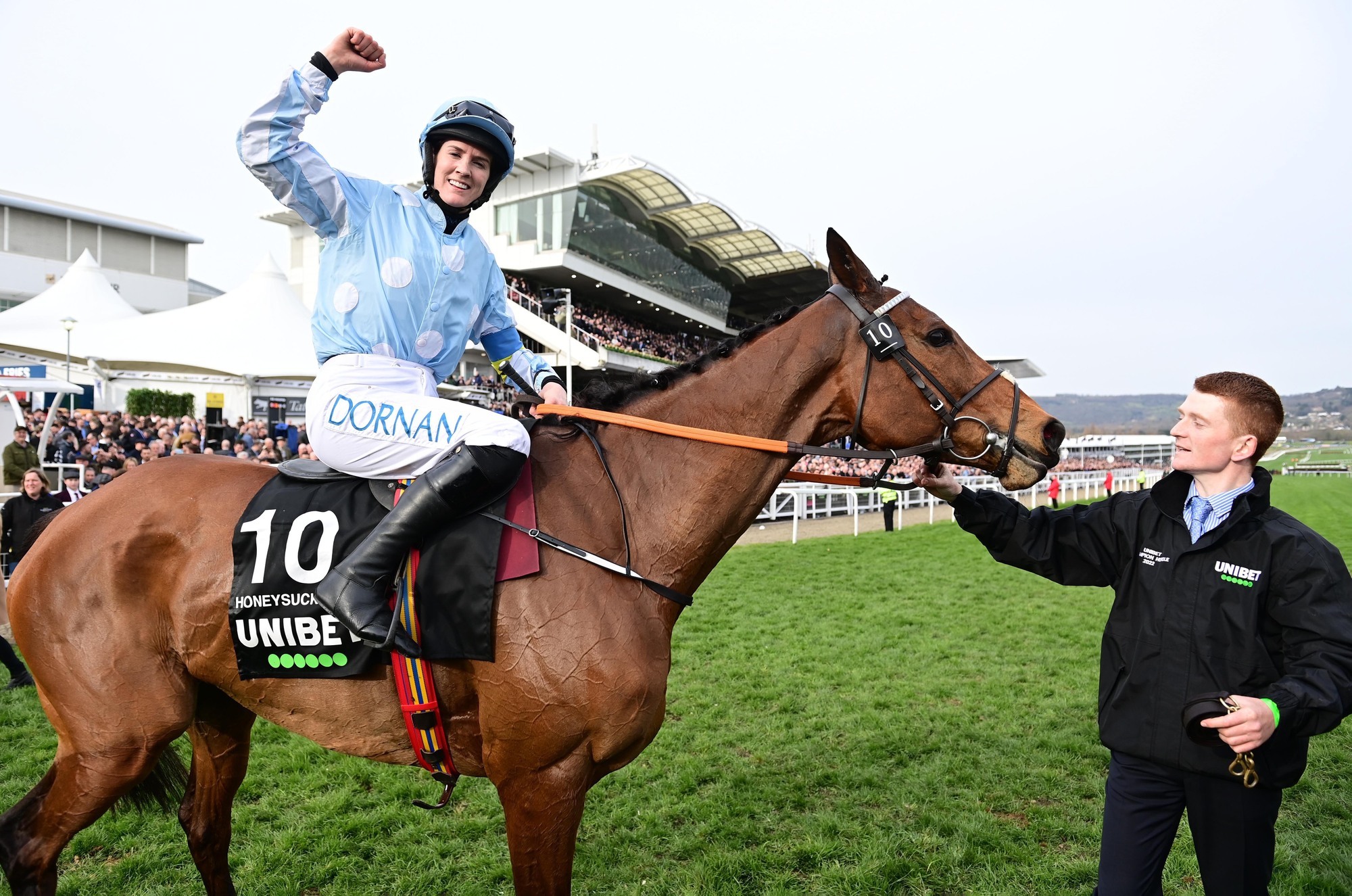 Honeysuckle and A Plus Tard in the mix for Horse of the Year Award