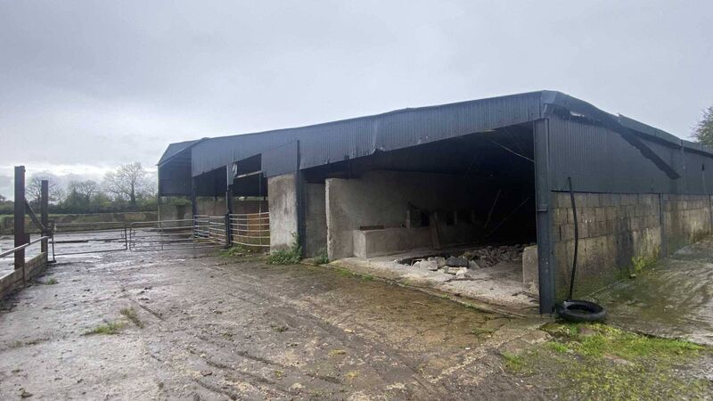 A month to get offers in for 55-acre Limerick holding