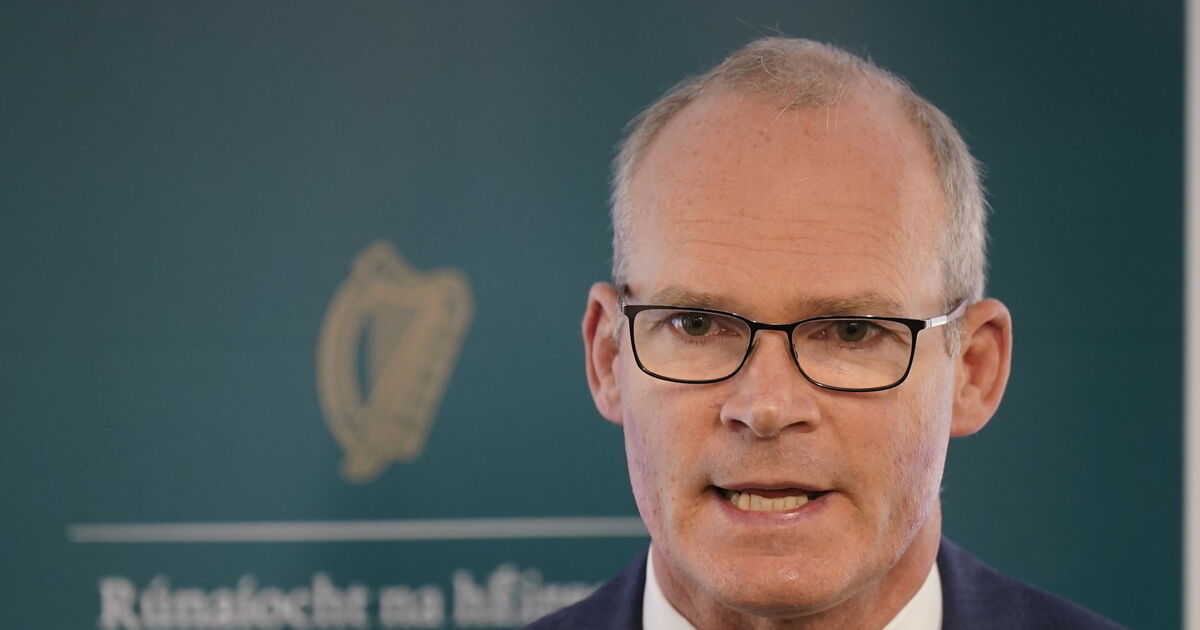 Daniel McConnell: Fine Gael's internal politics may be enough to keep ...