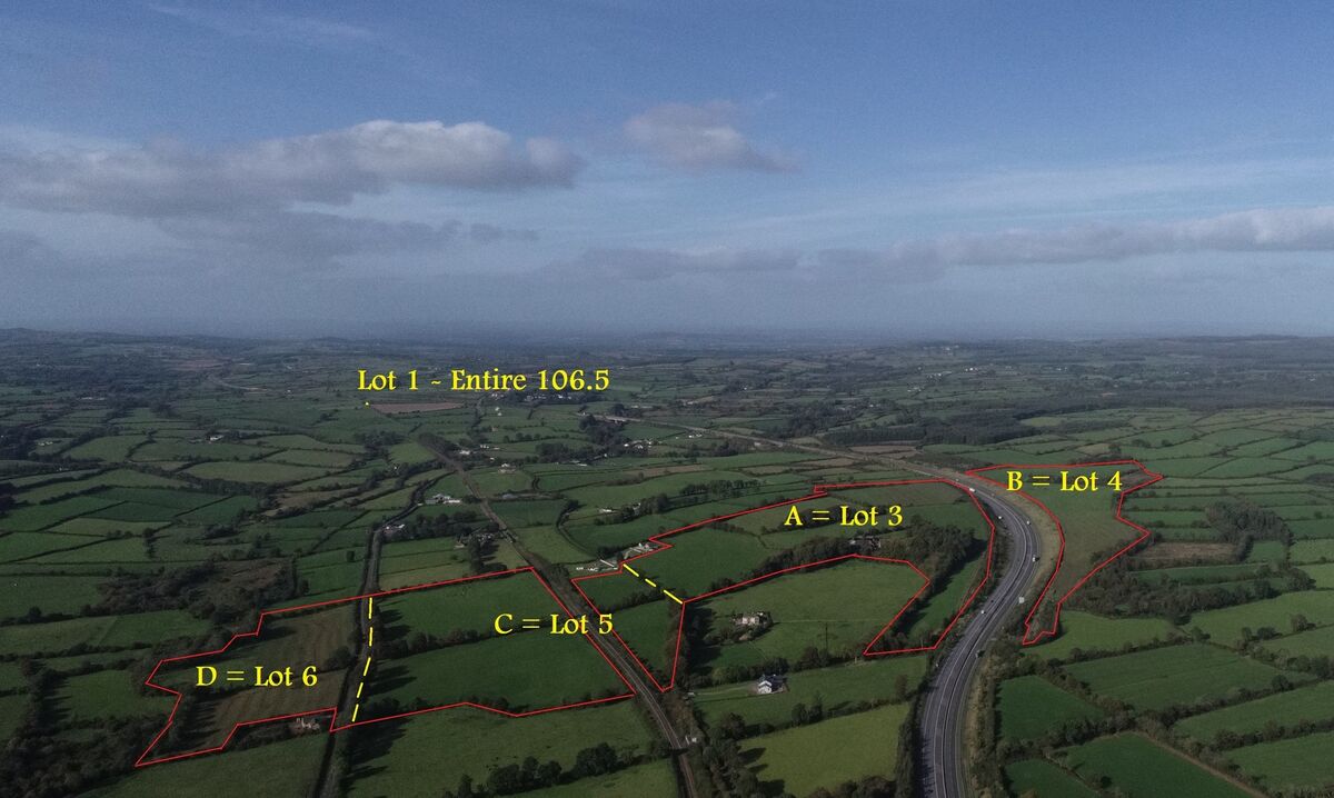 106-acre Kilkenny farm up for auction