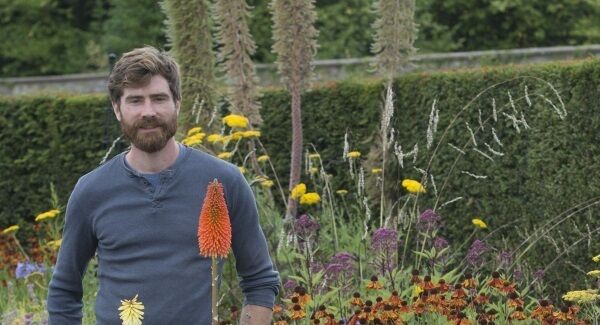 Glowing under the sugarloaf