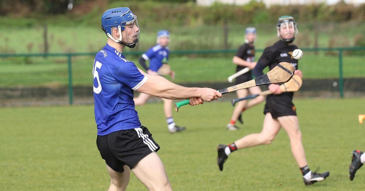 Nenagh CBS do the necessary but last-gasp action elsewhere halts Harty ...