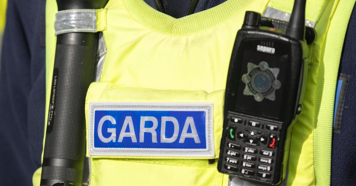 Garda promotion system remains 'jobs for the boys'