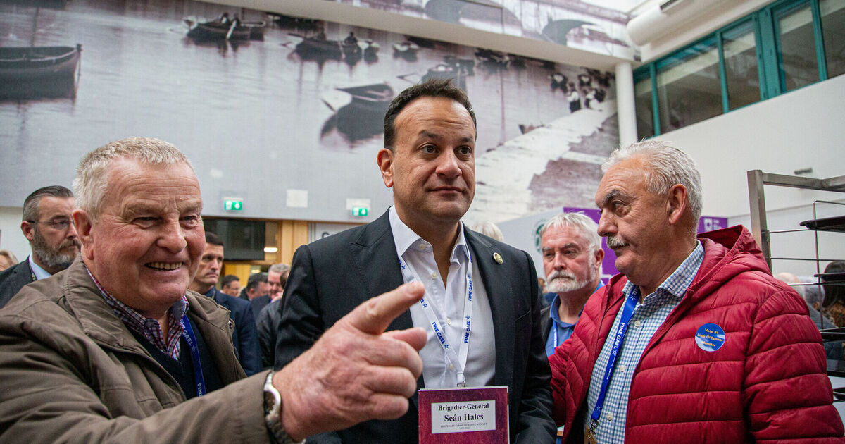 Daniel McConnell: Varadkar speaks of progress but Fine Gael is not a ...