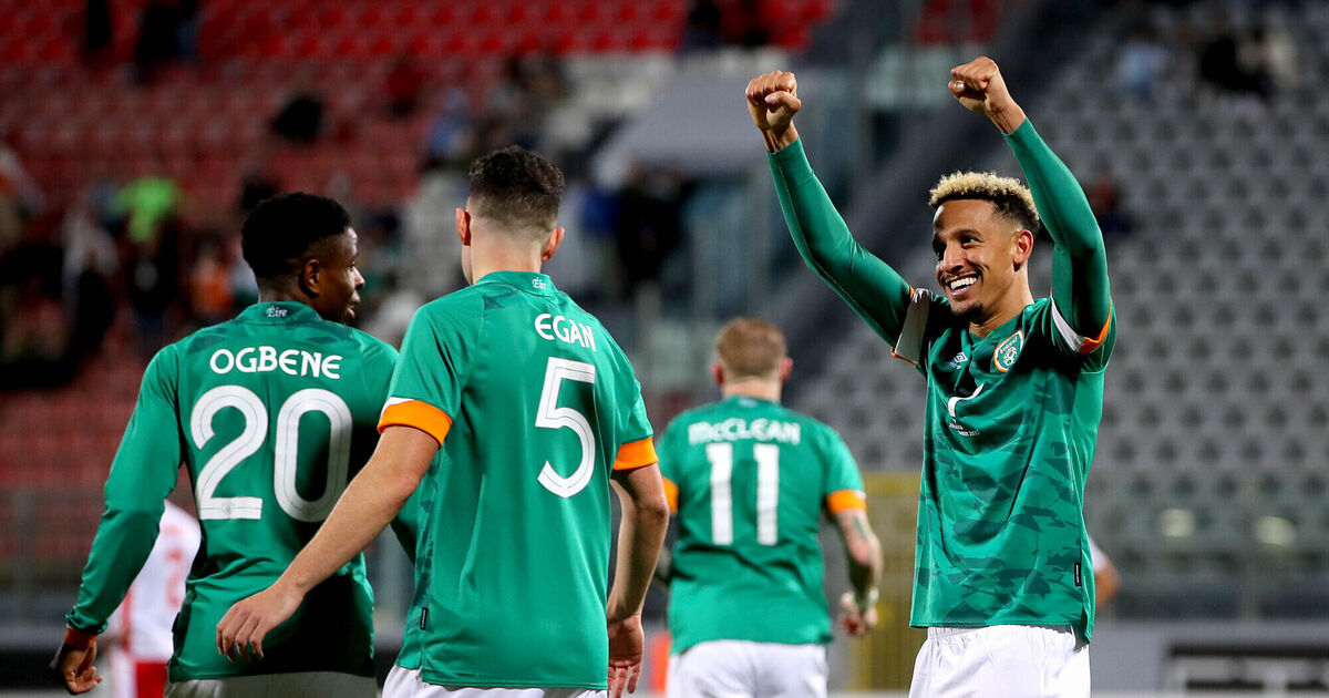 Callum Robinson gifted the winner as Ireland defeat Malta
