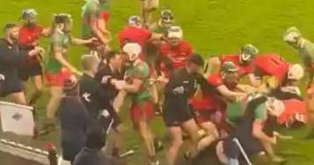 Bans of up to 12 months handed out for Parnell Park row