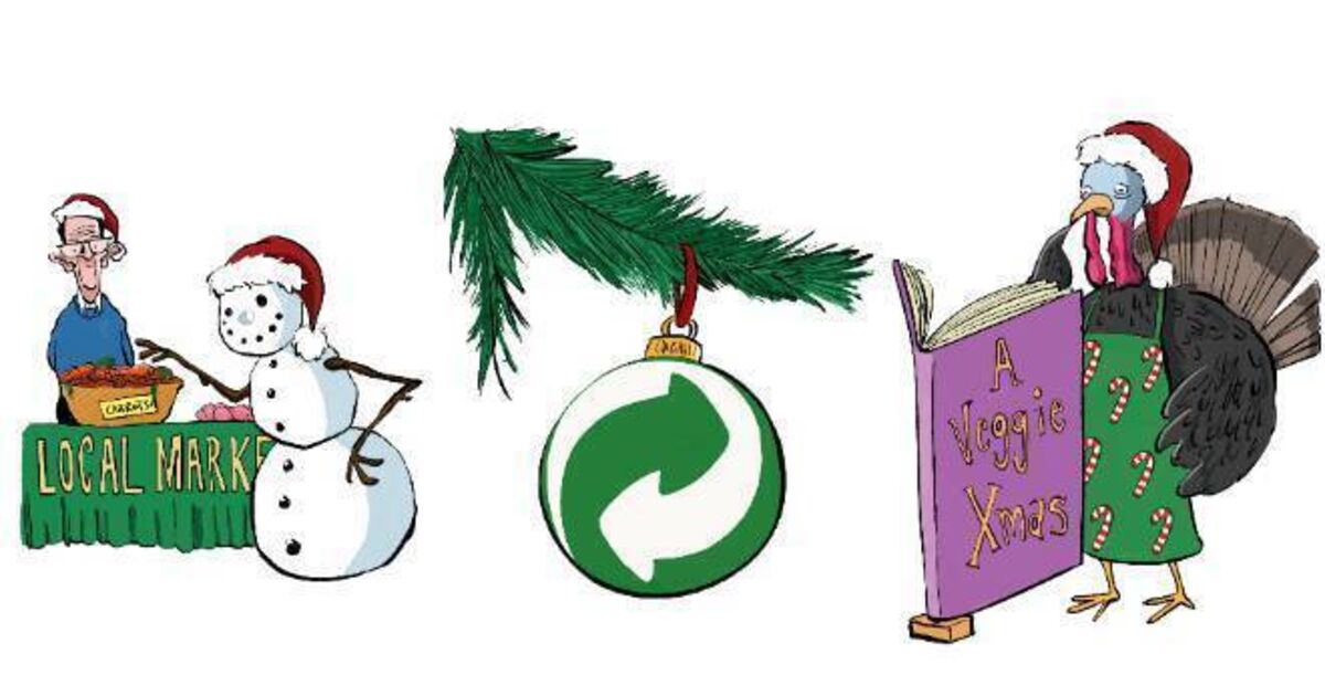 Green Christmas: 25 tips for a sustainable holiday season