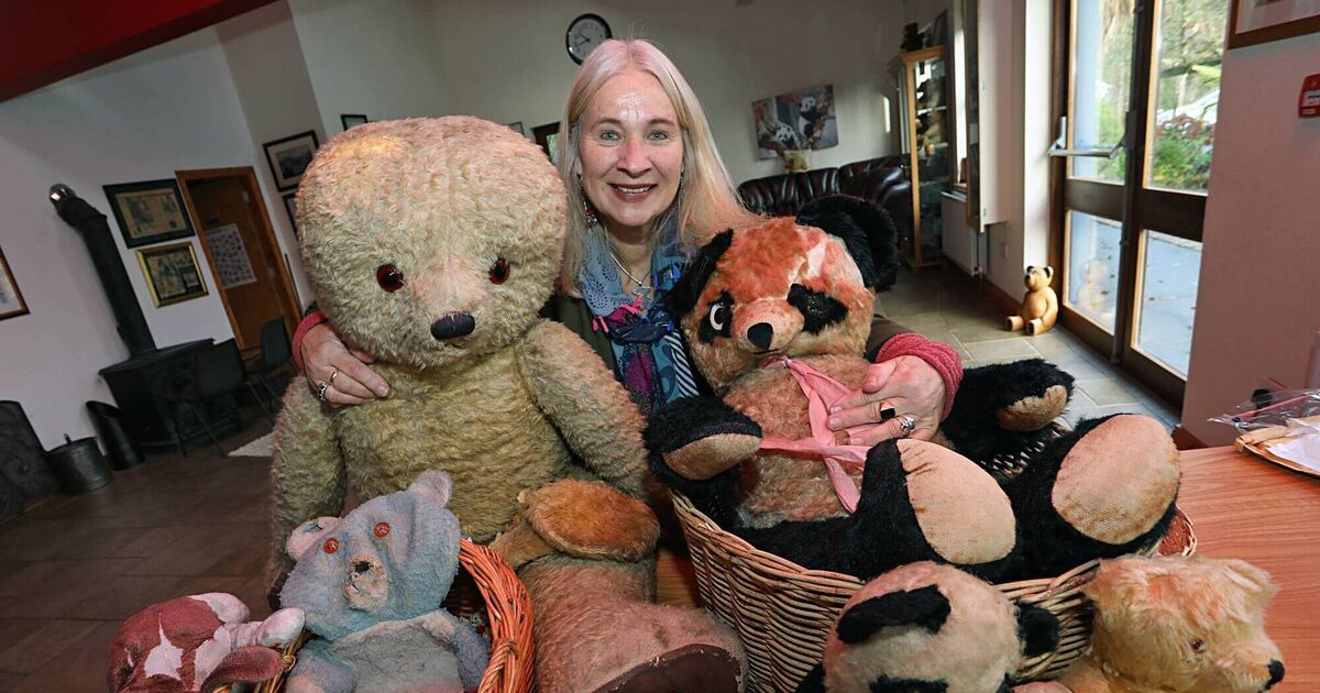 Ireland's teddy bear hospital in search for new surgeons
