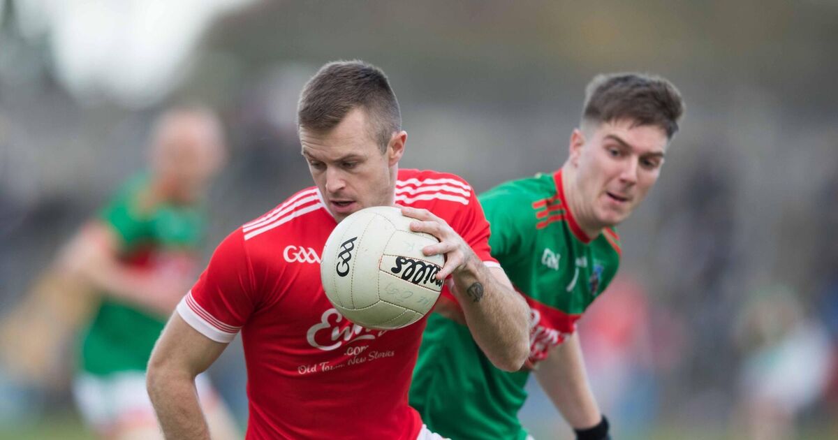 Fossa Power Into Munster Final At A Sold-out Quaid Park - TrendRadars