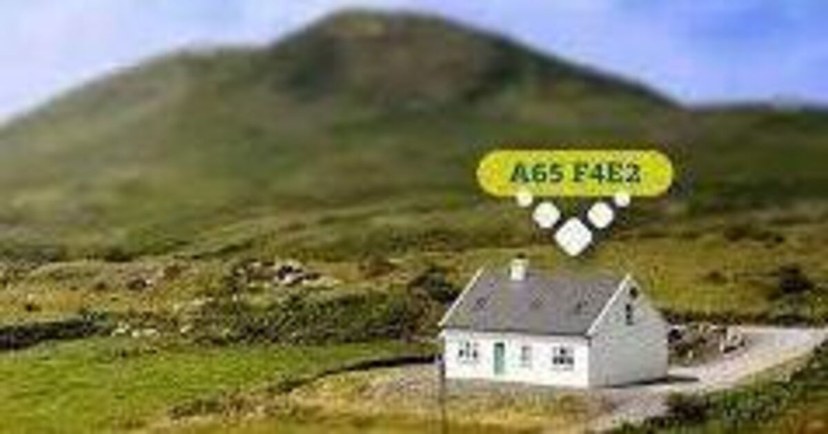 Cork firm claims it lost €12m over awarding of eircode system