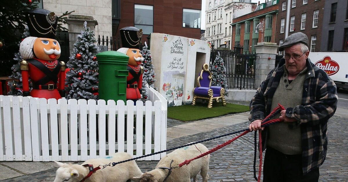 Live animal crib makes return at new location in Dublin
