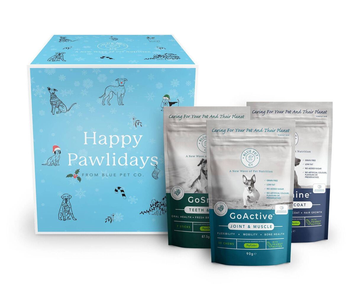 Pet presents: 10 Christmas gift ideas for your furry family members ...