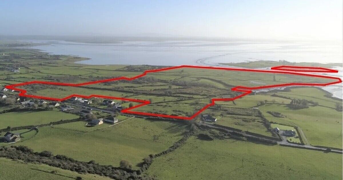 116-acre farm on Shannon Estuary likely to fetch around €8k/acre