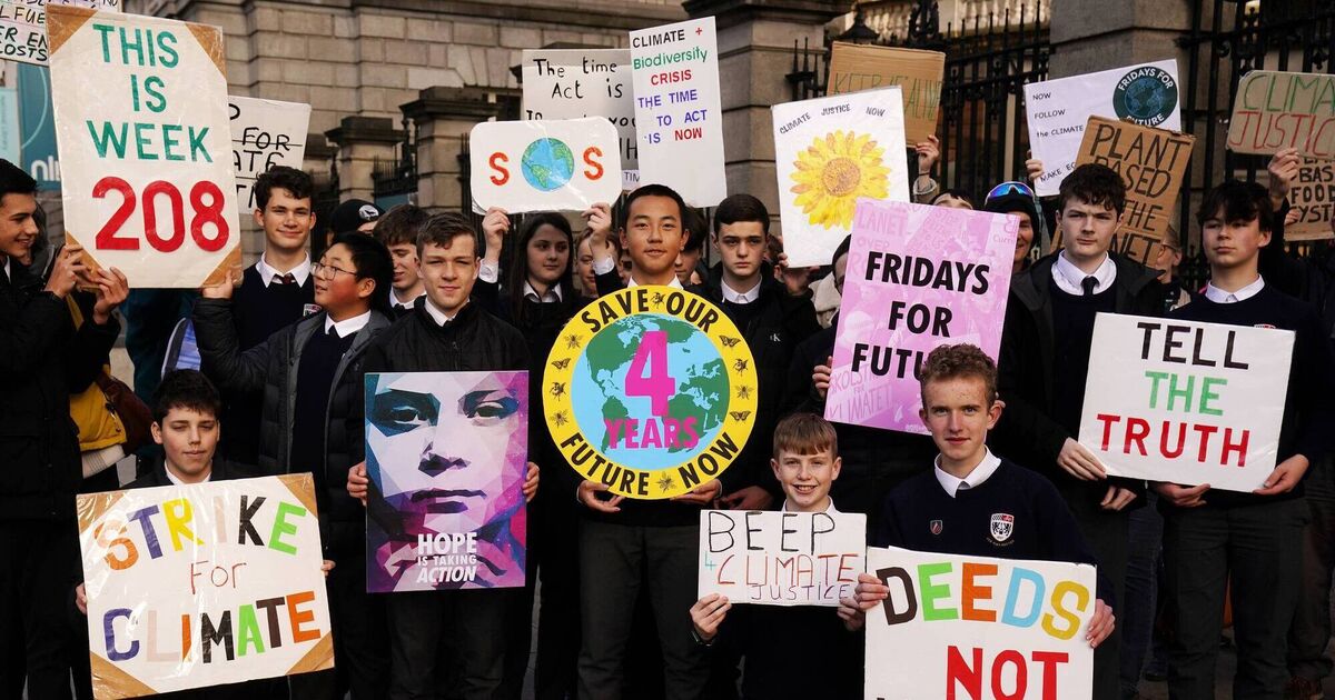 Student climate strikers mark four years of weekly protests outside Dáil