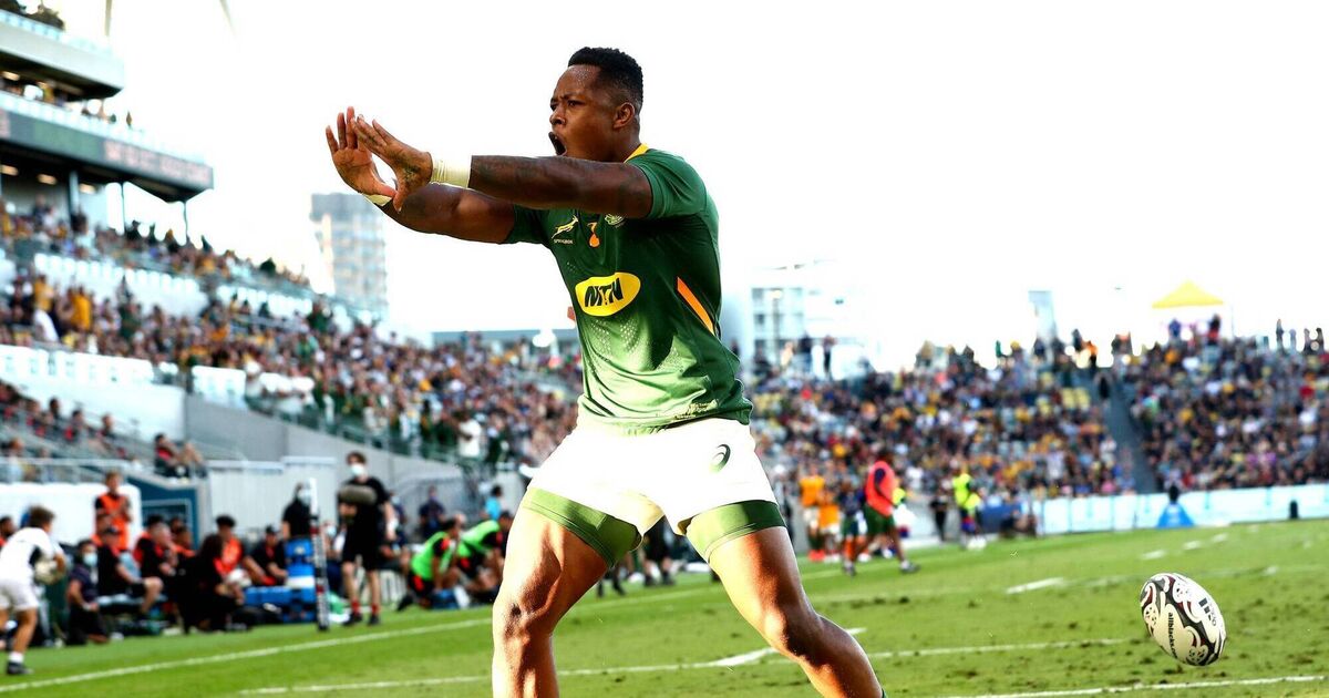 South Africa rugby union player Sbu Nkosi reported missing by Blue Bulls