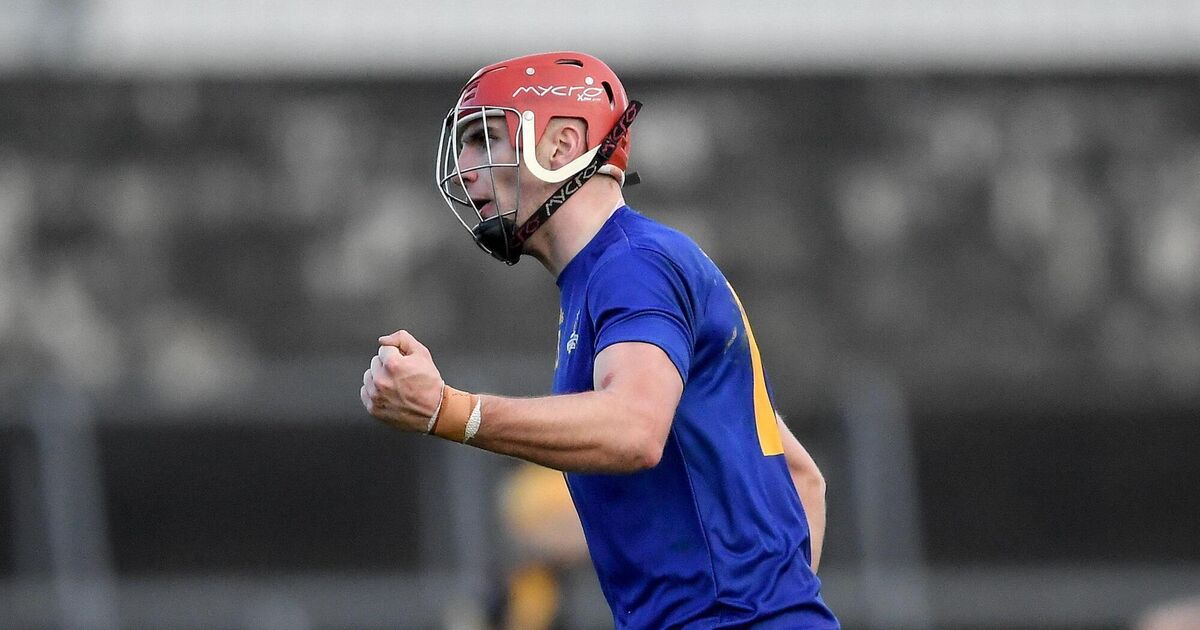 Barrs dual star Brian Hayes set to opt for Cork hurlers
