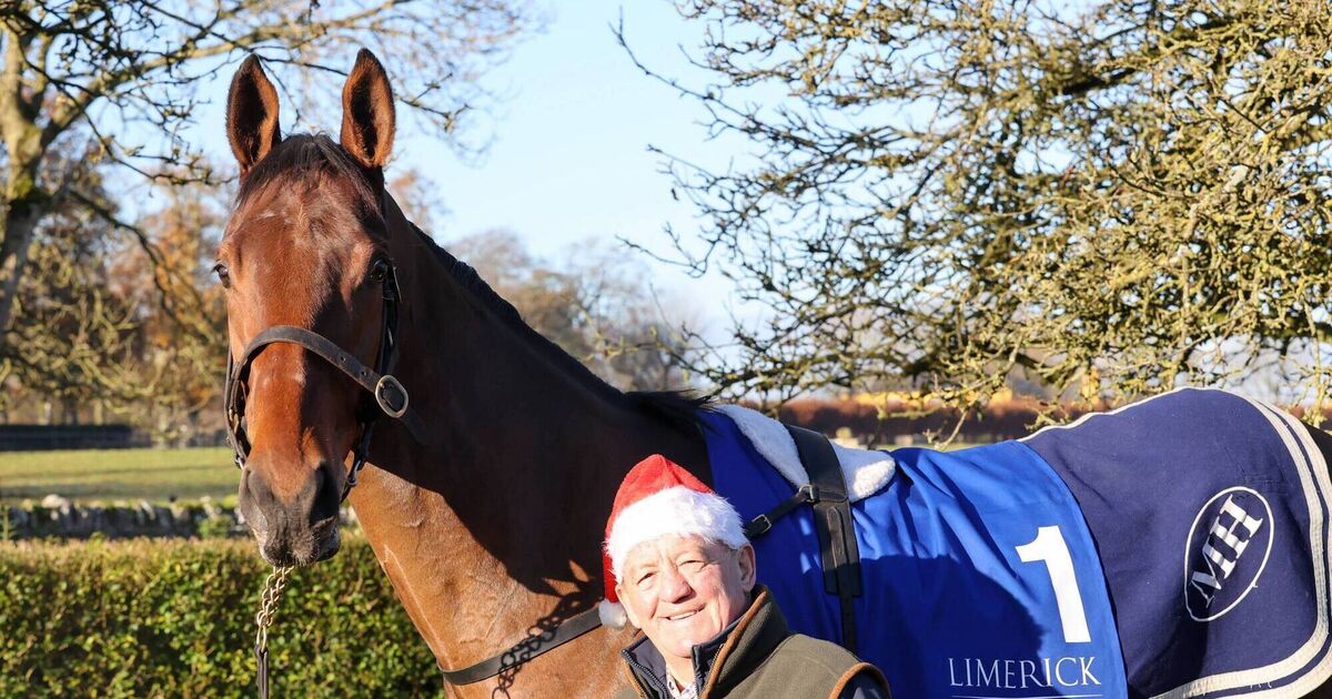 Birthday boy Michael Hourigan remains obsessed by labour of love