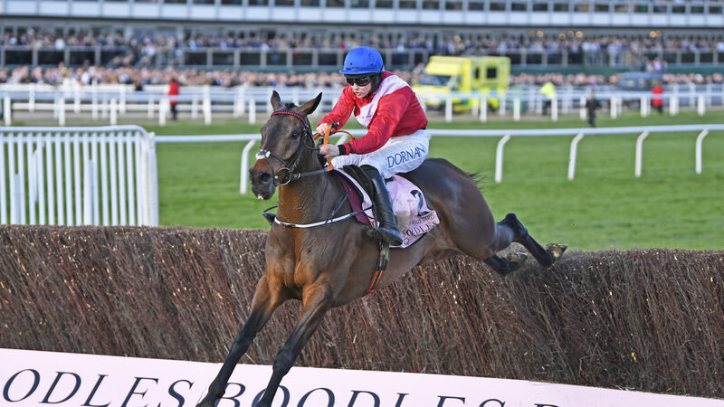 A Plus Tard could yet make Christmas return