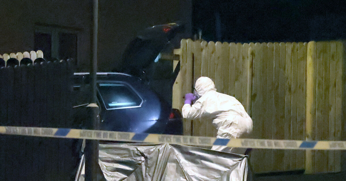 Reward of €23K offered for information on ‘ruthless’ Newry murder