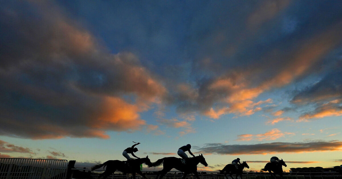 Cheltenham Friday card given green light
