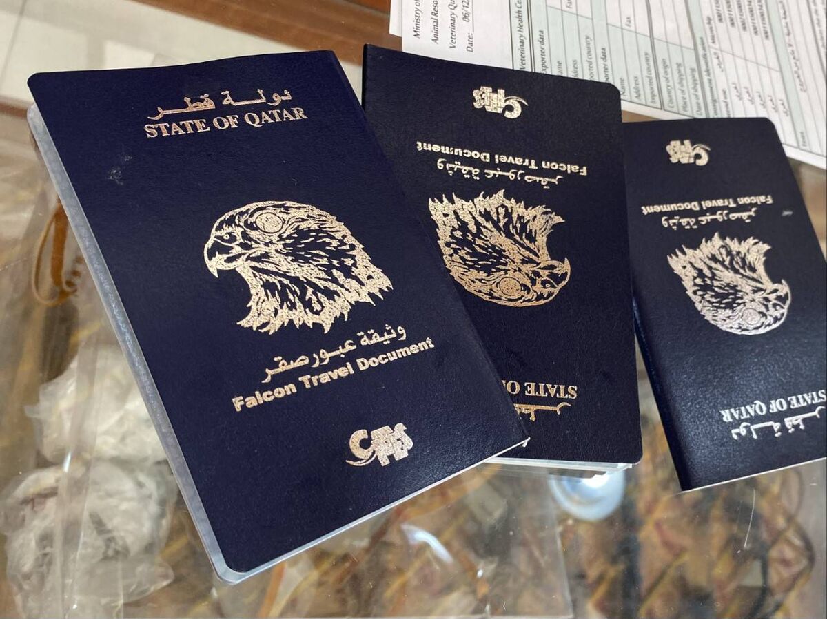 Letter from Doha: In search of Qatar’s sports culture