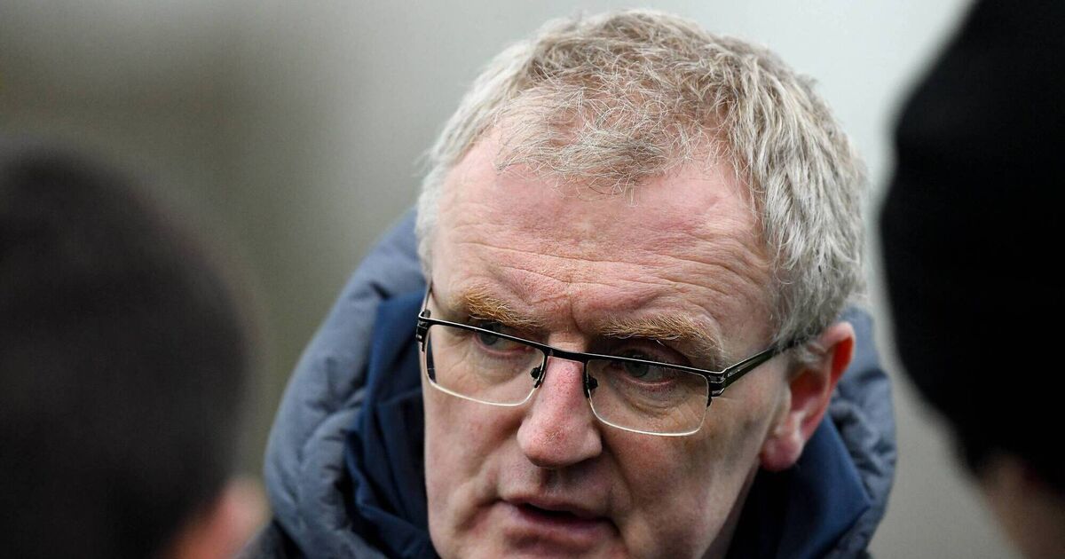 Clare hurling manager Brian Lohan wins planning dispute to build new ...